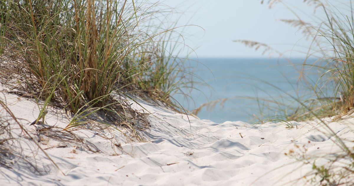 Potwarz dla Polski? Obcokrajowcy surowo ocenili słynną plażę - Vibez