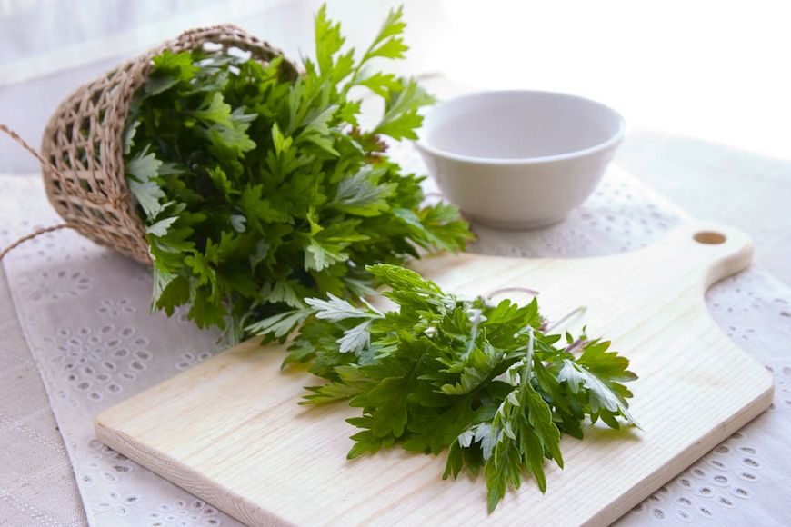 Piołun i jego prozdrowotne właściwości - Piołun i jego prozdrowotne ...