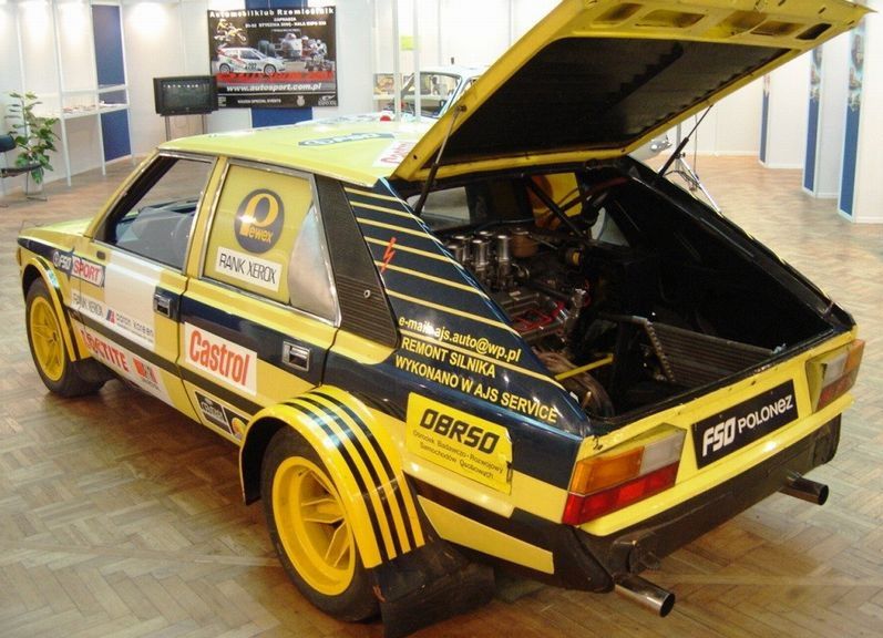 Polonez - historia, odmiany i rzadkie wersje