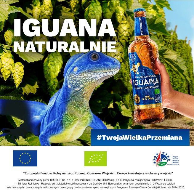 K+Group pracuje dla marki piwa Iguana