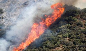 o2 - Serce Internetu