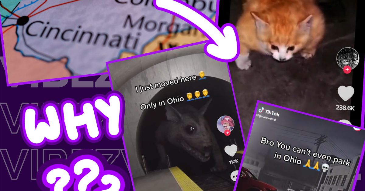 Ohio to mem, który podbił TikToka. O co w nim chodzi? - Vibez