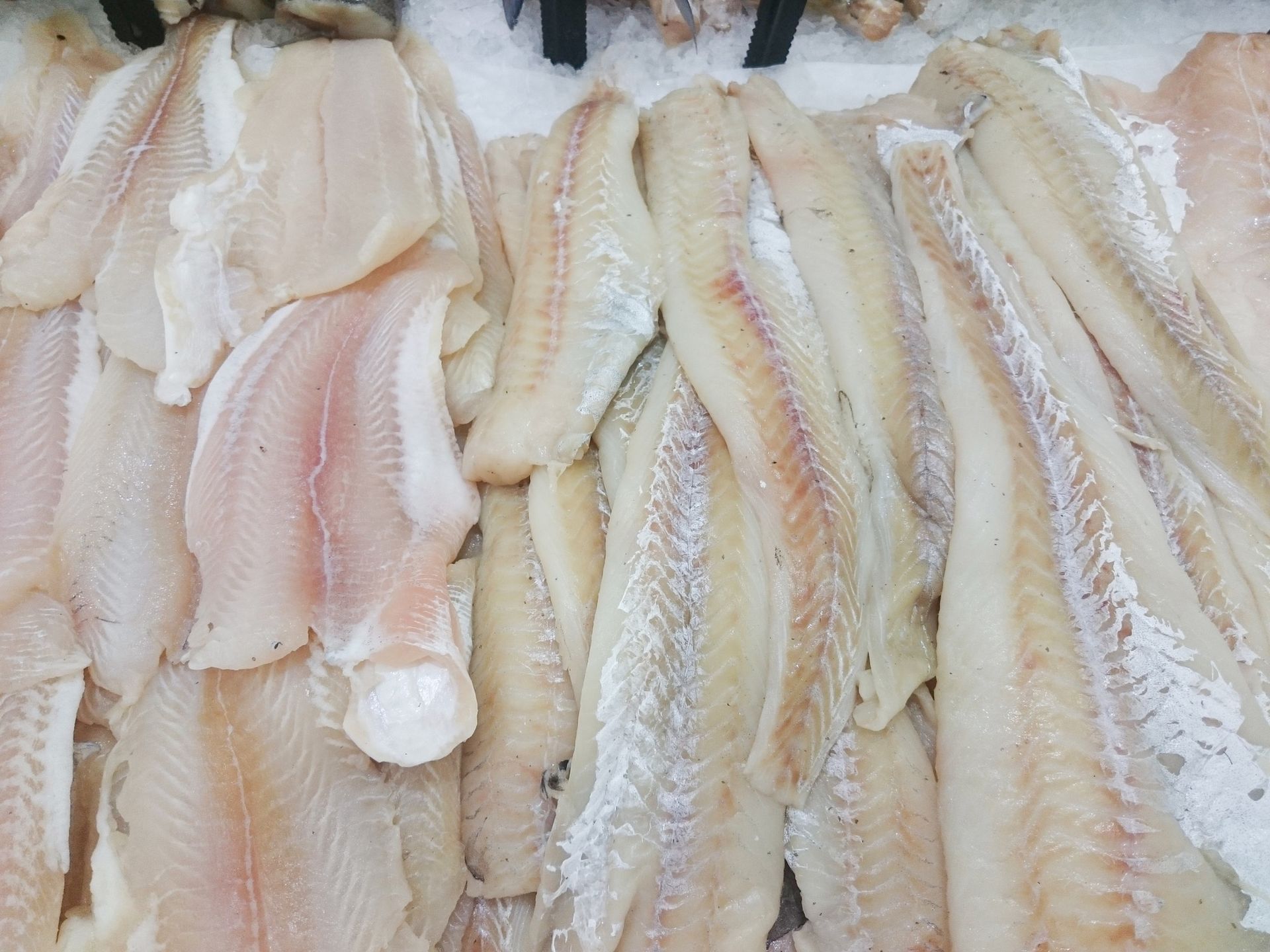 Najlepsza polska ryba. Tania, zdrowa i bardzo smaczna