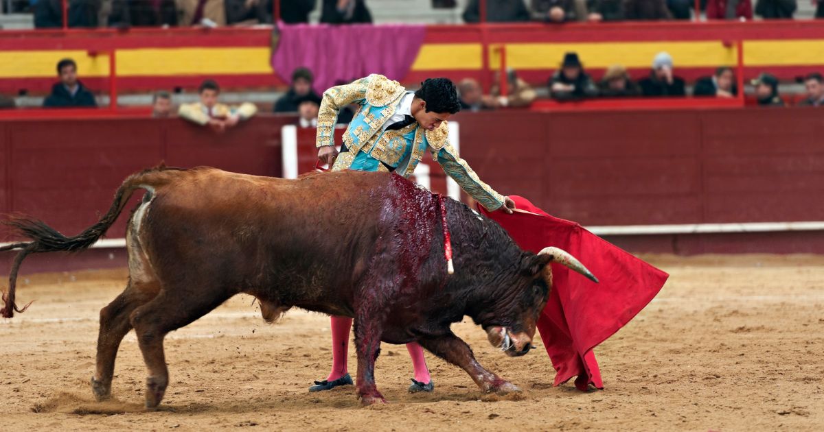Korrida w Meksyku. Protestujący wyszli na ulice - Vibez