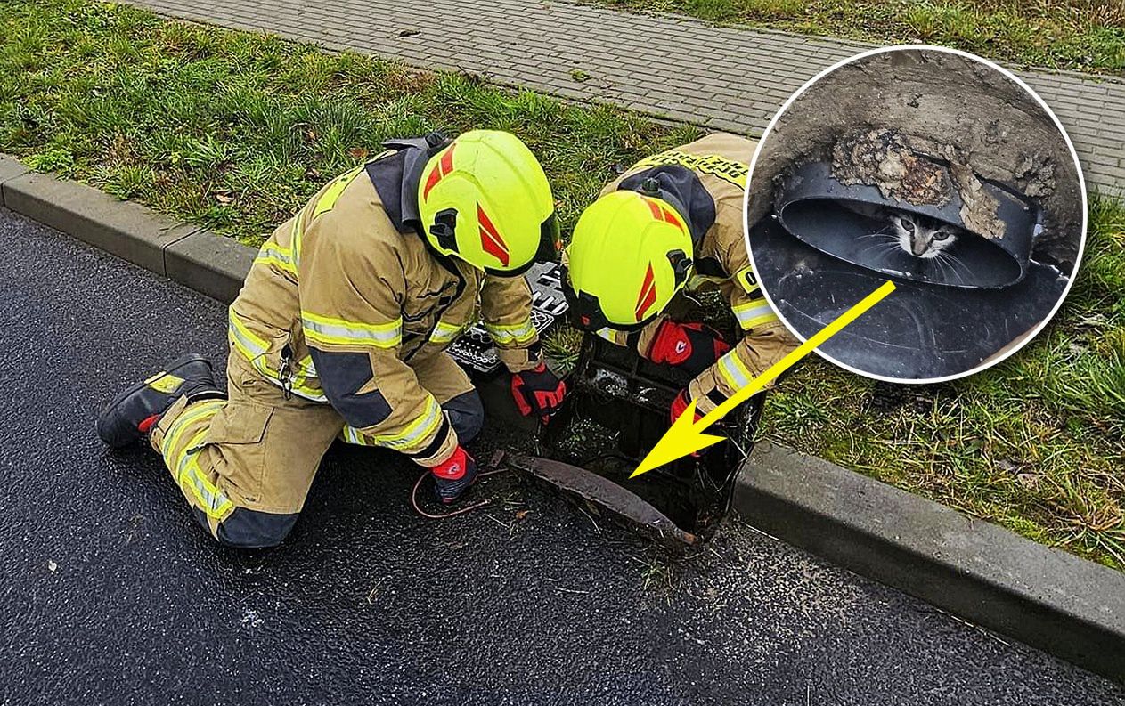 Strażacy otworzyli studzienkę. Oto co odkryli wewnątrz