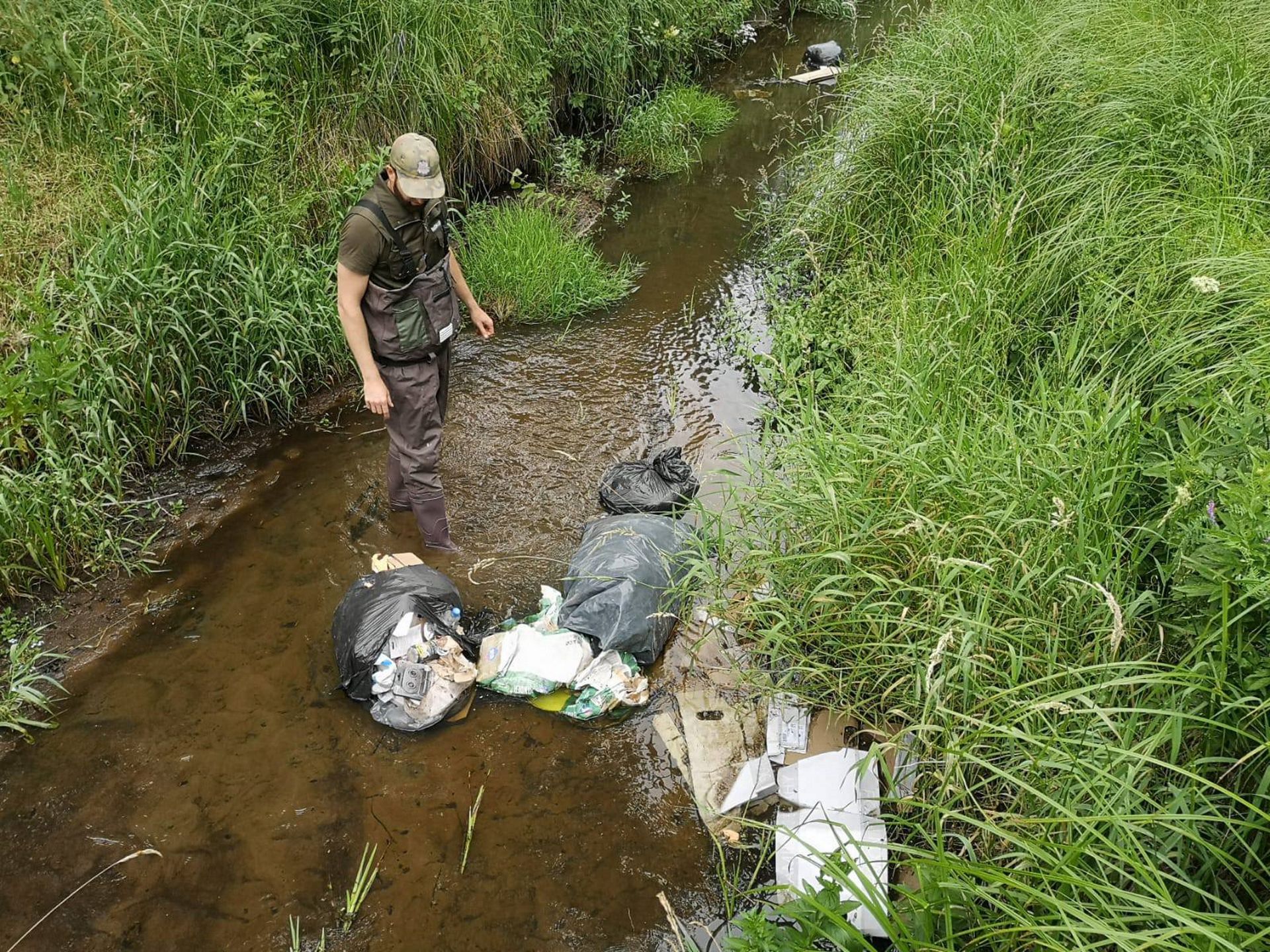 "Trudno o cenzuralne słowa". Leśnicy mają dość