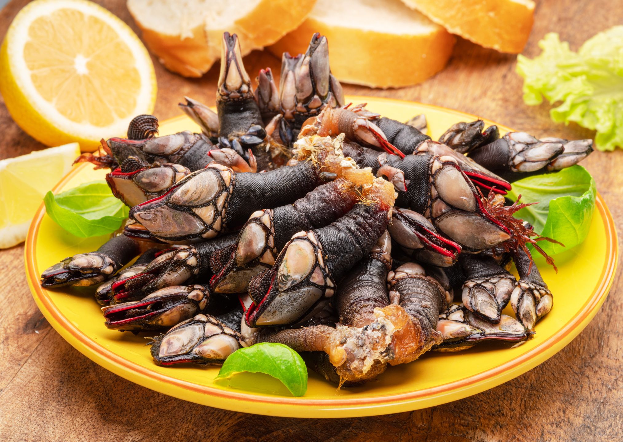 Mówią o nich "palce Lucyfera". Zbieracze narażają życie, aby je znaleźć