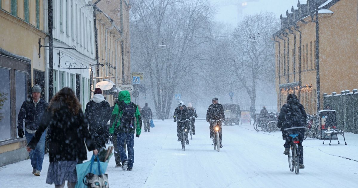 Drastyczny skok temperatur. Termometry w Szwecji pokazują ponad 50 ... Drastyczny skok temperatur. Termometry w Szwecji pokazują ponad 50 ...