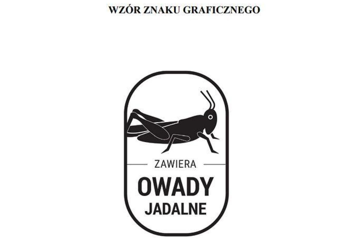 Żywność z owadami poznasz na pierwszy rzut oka. Będzie specjalne oznaczenie Żywność z owadami poznasz na pierwszy rzut oka. Będzie specjalne oznaczenie