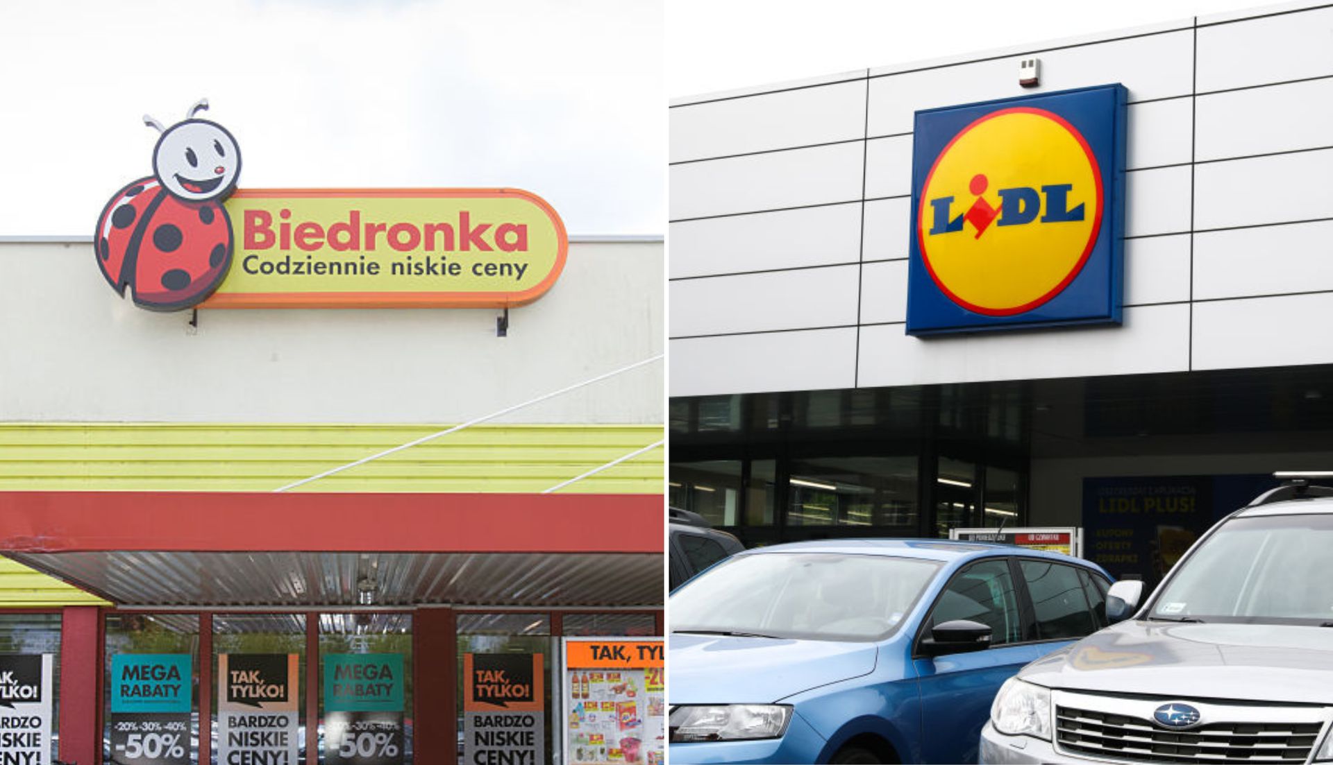 Biedronka czy Lidl? Sztuczna inteligencja odpowiada - o2