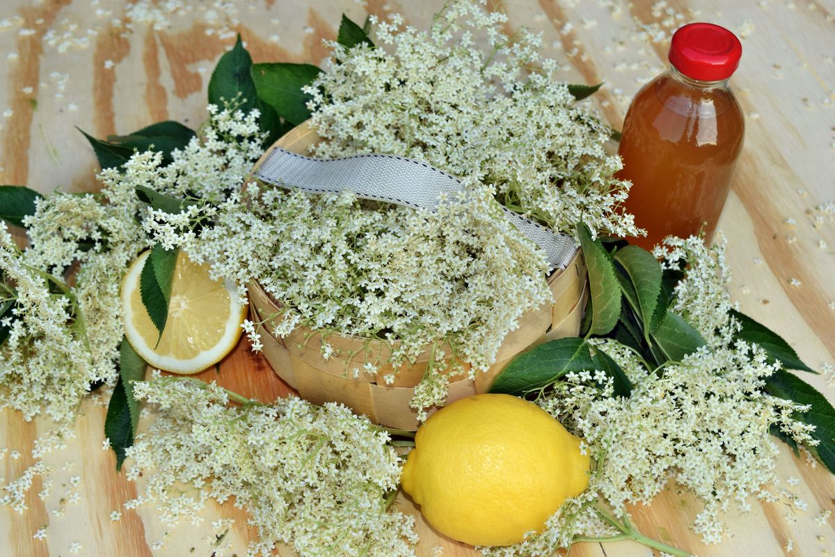 Nie prześpij sezonu. Domowe syropy i nalewki – 5 łatwych przepisów - WP ...