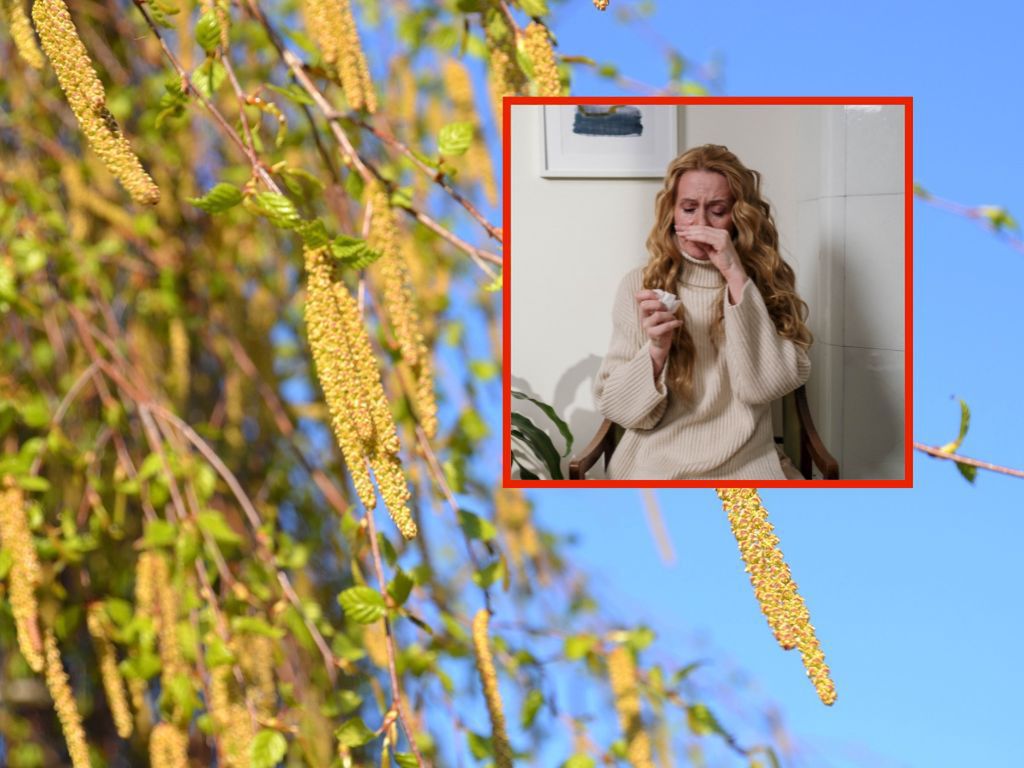 Co pyli w maju? Kalendarz alergika na piąty miesiąc roku