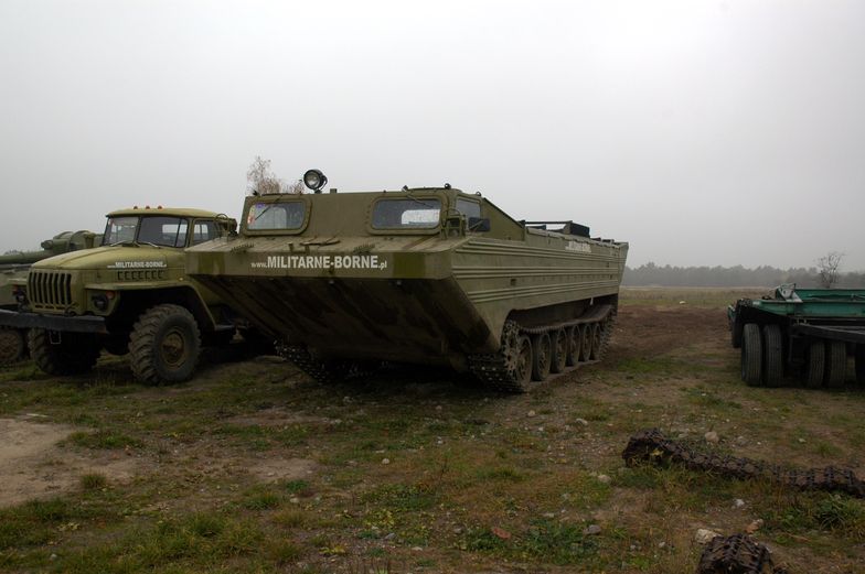 Amfibia - czym jest i gdzie znajduje zastosowanie - o2 - Serce Internetu