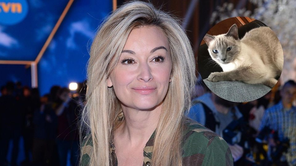 Martyna Wojciechowska prosi o pomoc. Zaginął jej kot - WP Kobieta