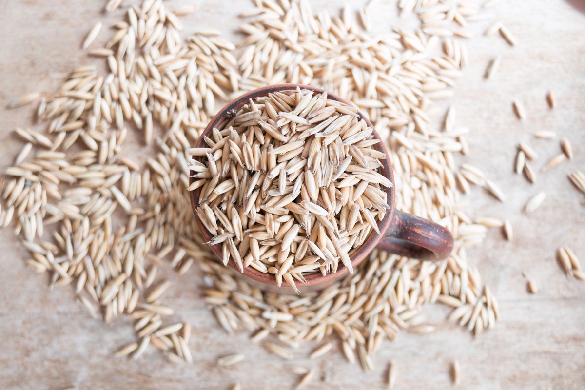 Owies - właściwości i zastosowanie owsa - WP Kobieta