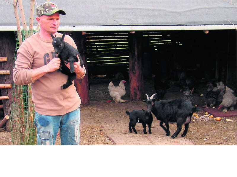 Walki byków - pierwsza corrida powstaje w Polsce - WP Wiadomości