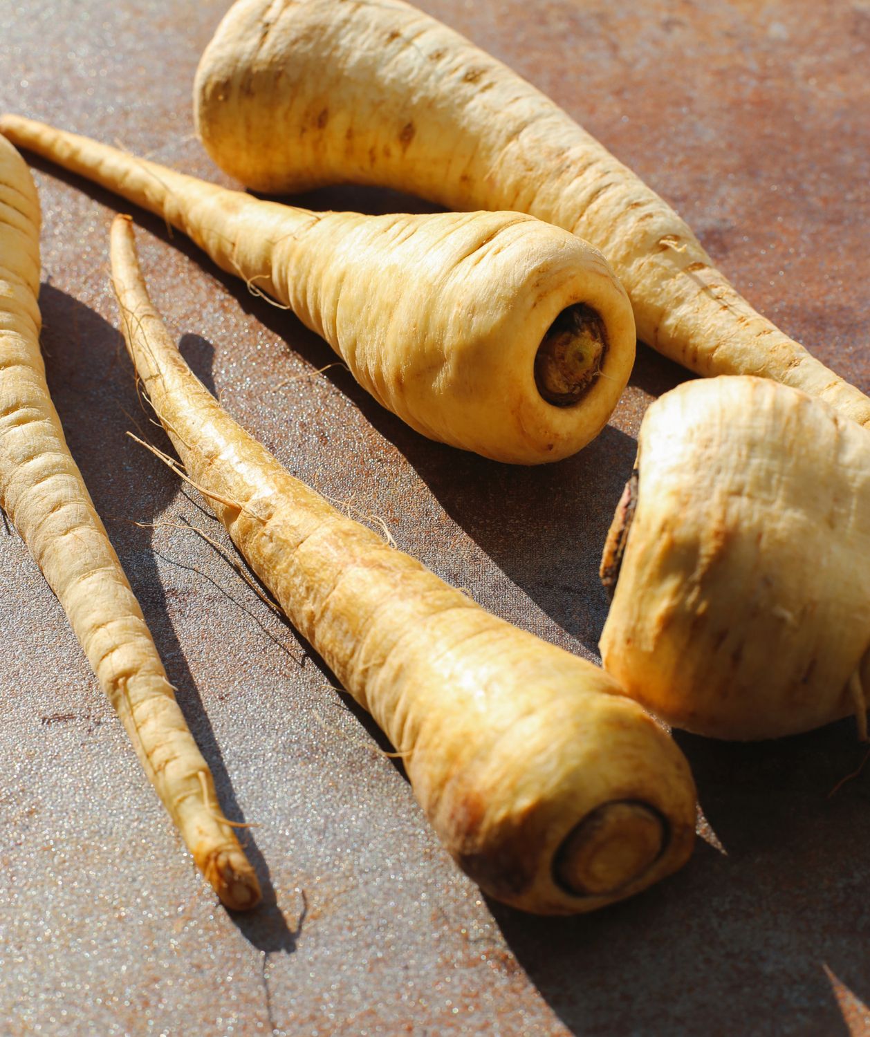 Jak odróżnić pasternak od pietruszki? Już nigdy nie dasz się nabić w ...